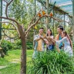 Vietnam: Vinwonders Nam Hoi An Theme Park - Practical Details and Tips
