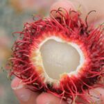 Vietnamese Food Tour with Local Guide - Why This Tour Works Well