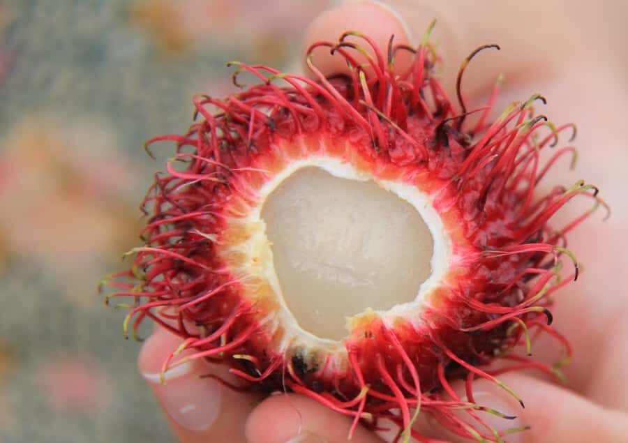 Vietnamese Food Tour with Local Guide - Why This Tour Works Well