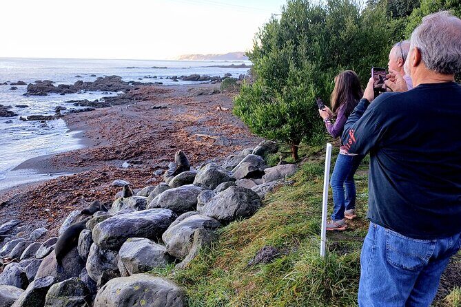 Visit Kaikura from Christchurch (small group Tour) - A Closer Look at the Itinerary