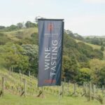 Waiheke Island: Wine, Gin, and Olive Oil Tour with Lunch - Why This Tour Works Well