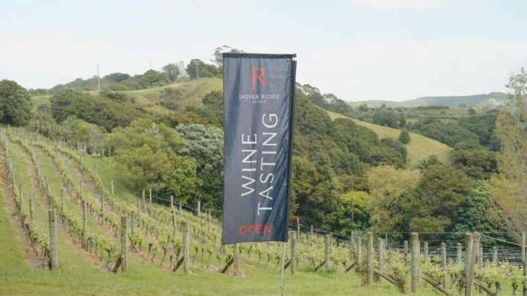 Waiheke Island: Wine, Gin, and Olive Oil Tour with Lunch - Why This Tour Works Well