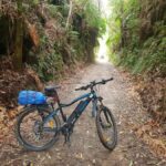 Waikato: Half-Day Karpiro River Trail Bike Tour - Practical Details and What to Expect