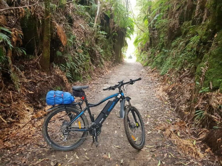 Waikato: Half-Day Karpiro River Trail Bike Tour - Practical Details and What to Expect