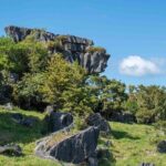 Waiomio Kawiti Glowworm Cave & Ngawha Hot Springs day tour - In-Depth Look at the Itinerary