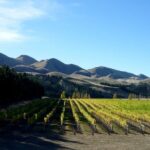Waipara Wine Trail Private Group Tour From Christchurch - Why This Tour Works for You