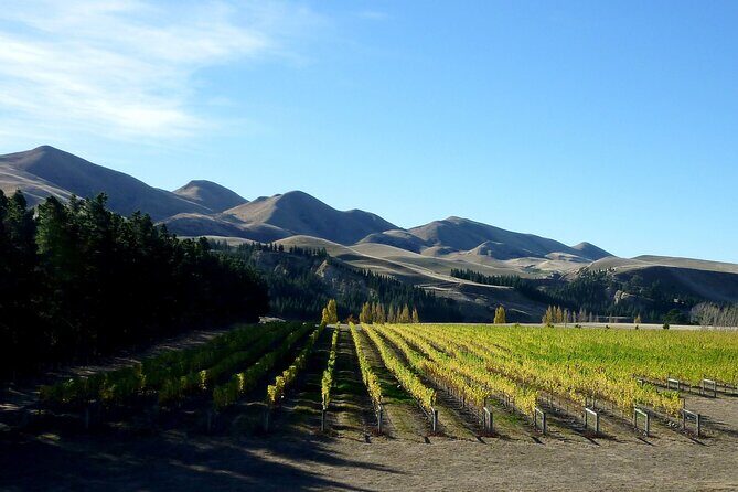 Waipara Wine Trail Private Group Tour From Christchurch - Why This Tour Works for You