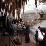 Waipu Milkyway Cave and East Coast Day Tour from Auckland - The Milkyway Glowworm Cave: A Quiet Underground Wonder