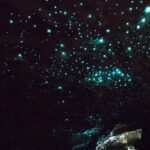 Waitakere Auckland Private Tour - Cost and Value Analysis