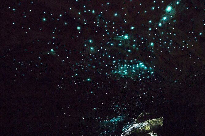 Waitakere Auckland Private Tour - Cost and Value Analysis