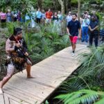 Waitangi Treaty Grounds: Combo Pass (Hng + Concert + Admission) - What to Expect on the Day