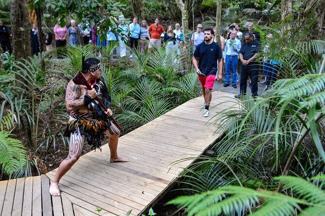 Waitangi Treaty Grounds: Combo Pass (Hng + Concert + Admission) - What to Expect on the Day