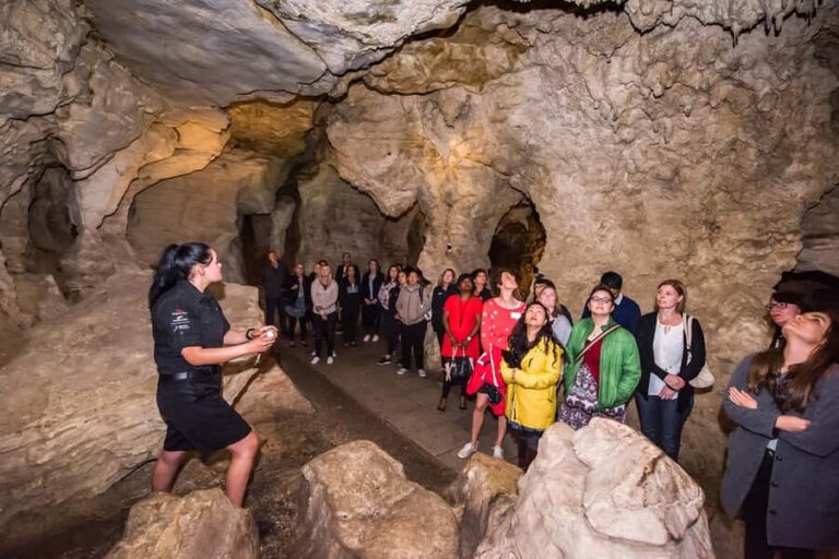 Waitomo: Glowworm Caves Guided Tour by Boat - Why This Tour Is a Great Value