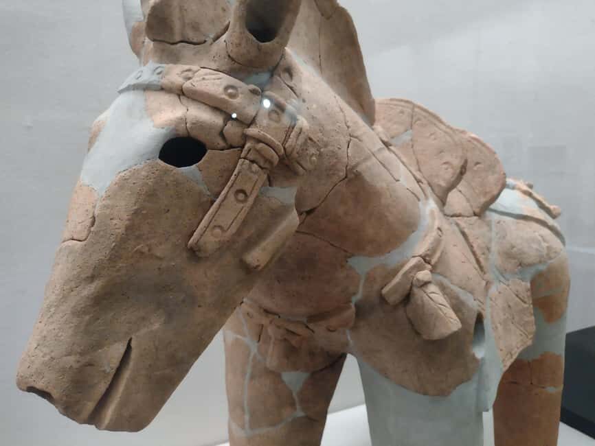 Wakayama: Iwase-Senzuka Ancient Tomb Cluster Tour - Museum Visit and Cultural Context