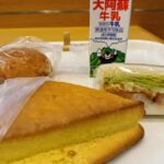 Wakayama: Johoku Area Walking Tour with Local Guide - Walking through history and modern life