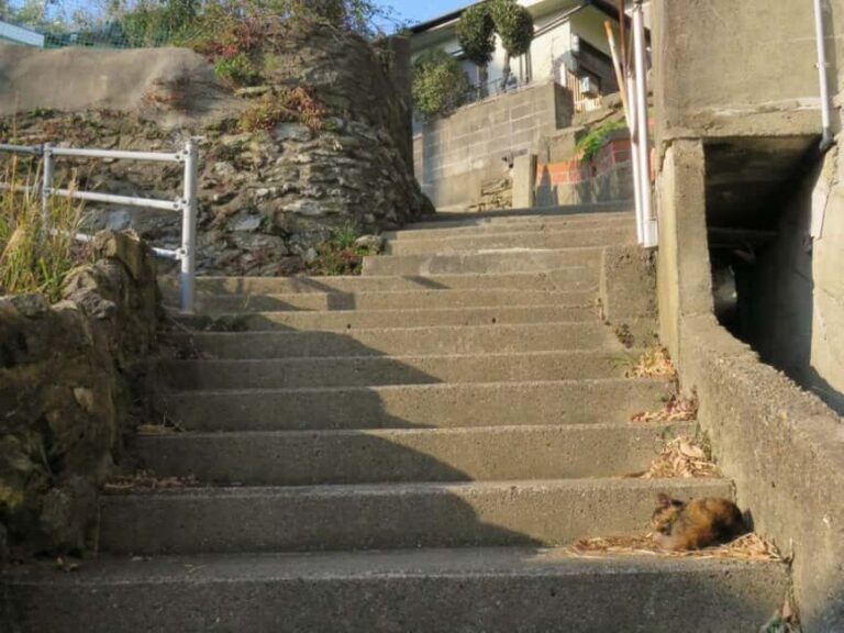 Wakayama: Saikazaki, Fishing Town Walking Tour - An In-Depth Look at the Saikazaki Walking Tour