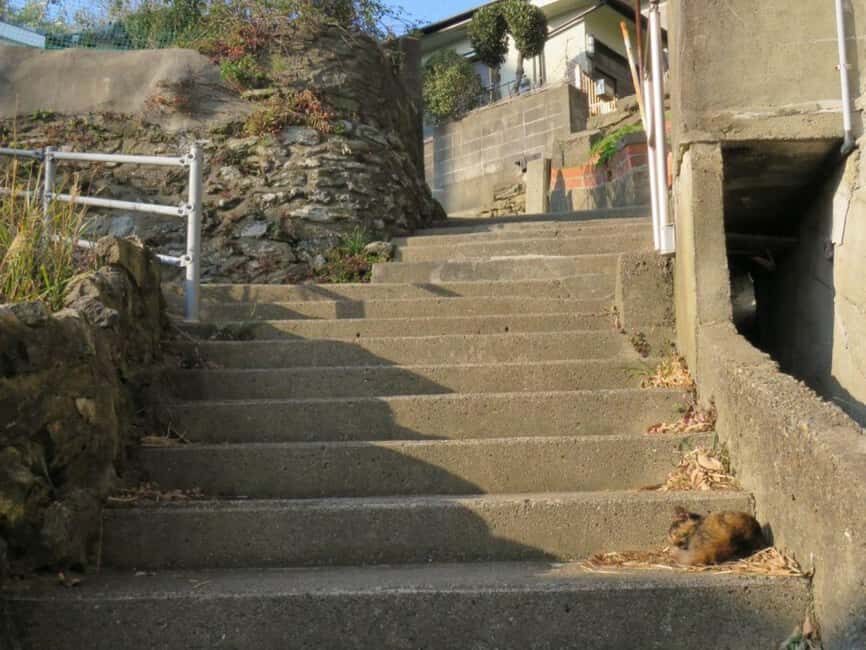 Wakayama: Saikazaki, Fishing Town Walking Tour - An In-Depth Look at the Saikazaki Walking Tour