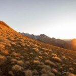 Wanaka: Black Peak Helicopter Hike with Alpine Hut Stay - The Sum Up