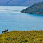 Wanaka High Country Walk - The Itinerary in Detail