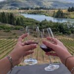 Wanaka: Vines, Wines & Good Times  Wanaka Half-Day Tour - The Sum Up