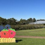 Wander the Tamar Valley - Practicalities and Value