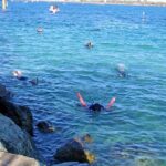 Wave Break Island Snorkel Tour on the Gold Coast - Possible drawbacks