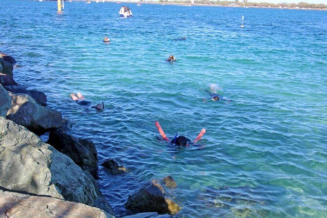 Wave Break Island Snorkel Tour on the Gold Coast - Possible drawbacks