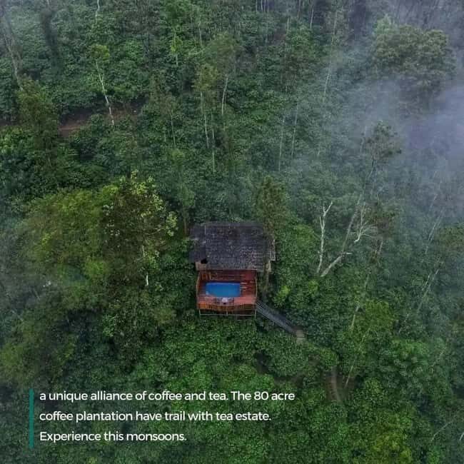 Wayanad: 2-Day Tour with Sightseeing and Accommodation - Exploring the Itinerary: Day 2