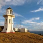 Wellington: Baring Head Lighthouse Walk - Practical Considerations and Value