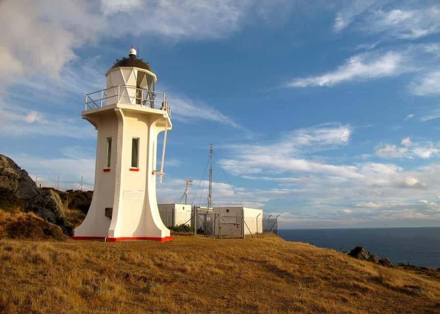 Wellington: Baring Head Lighthouse Walk - Practical Considerations and Value