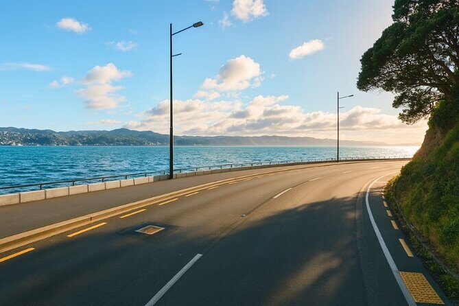 Wellington Coastal Self Drive Tour with an APP - A Detailed Breakdown of the Itinerary