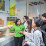 Wellington: Museum of NZ Intro Tour & General Admission - The Museum’s Layout and Highlights