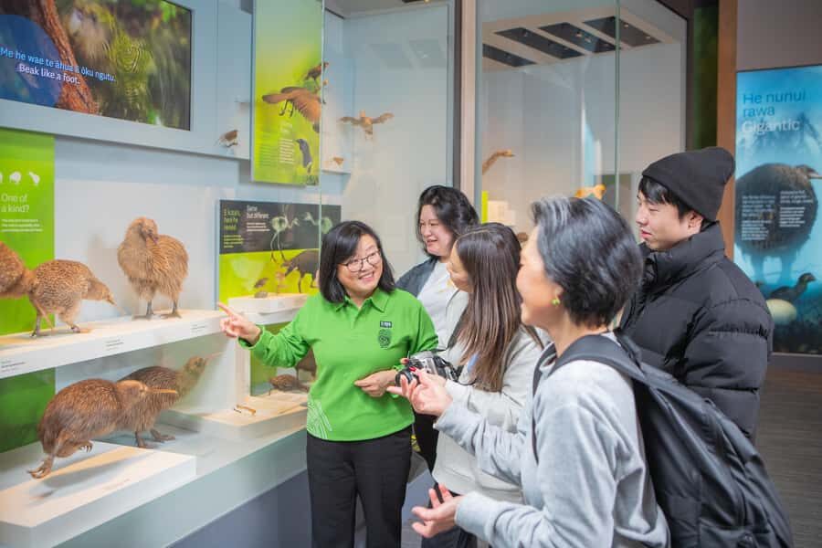 Wellington: Museum of NZ Intro Tour & General Admission - The Museum’s Layout and Highlights