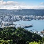 Wellington: Private custom tour with a local guide - The Itinerary: What to Expect