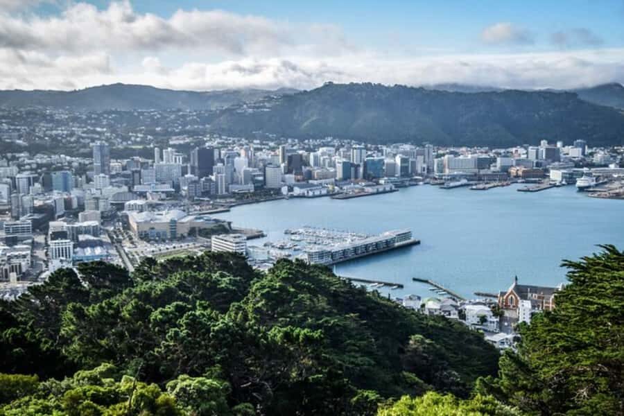 Wellington: Private custom tour with a local guide - The Itinerary: What to Expect