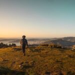 Wellington: Wild Skyline Guided Hiking Tour, Transfers + Lunch - Why the Price is Justified