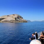 Welshpool: Wilsons Promontory Nature and Wildlife Day Cruise - Who Will Love This Tour?