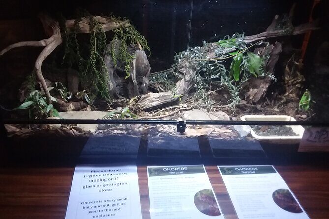 Wildlife Centre Experience - Value and Practicality