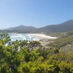 Wilsons Promontory National Park Day Trip - The Guide and Transportation