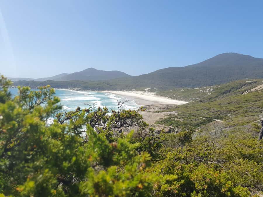 Wilsons Promontory National Park Day Trip - The Guide and Transportation