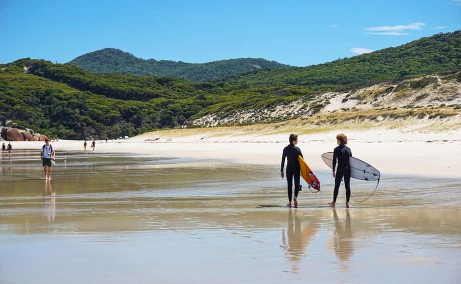 Wilson's Promontory National Park Eco Tour From Melbourne - What to Expect at Each Stop