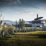 Wine Tasting in Pokolbin with Foodie Adventure - Analyzing the Price and Overall Value