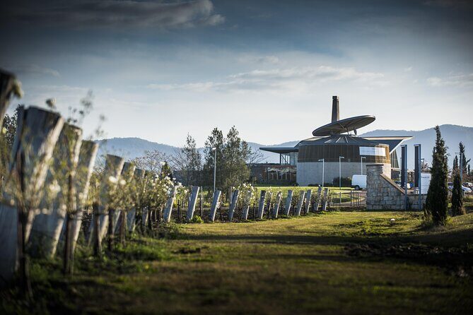 Wine Tasting in Pokolbin with Foodie Adventure - Analyzing the Price and Overall Value