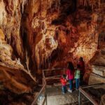 Wombeyan Caves: Fig Tree Cave Tour - Exploring Wombeyan Caves: An In-Depth Review