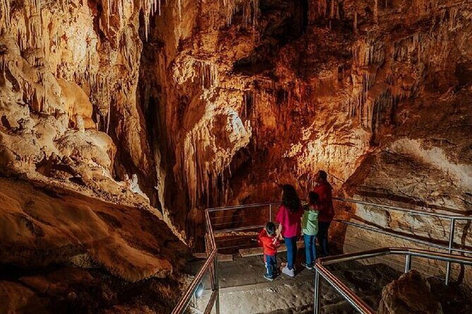 Wombeyan Caves: Fig Tree Cave Tour - Exploring Wombeyan Caves: An In-Depth Review