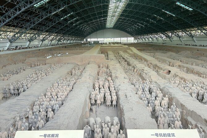 Xi'an: Exclusive Terracotta Army Tour with Local Family Lunch - Authentic & Engaging Cultural Experience
