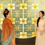 Xian: Hanfu Costume Experience & Ancient-Modern Photoshoot - Comparing and Contrasting