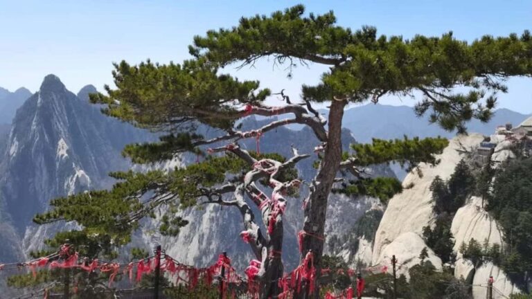 Xian: Hua Mountain Hiking Morning Ticket - Adult - The Trail and Views: What You’ll See