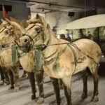 Xi'an: Private Layover Tour with Choice of Duration - The Value of This Private Tour