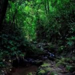 Xishuangbanna: hiking in the rain forest of Jinuo Mountain - What Makes This Tour Stand Out?